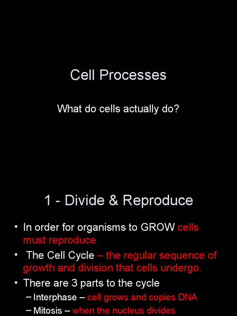 Cell Processes | PDF