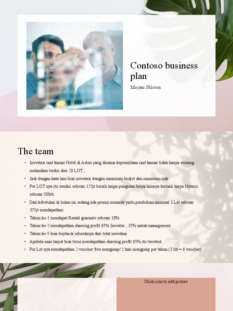 Contoso Business Plan | PDF | Economies | Business Economics