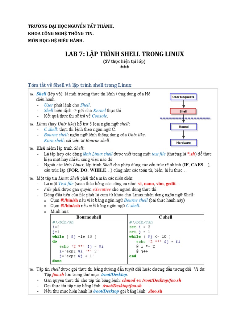 Lab 7-Lap Trinh Shell | PDF