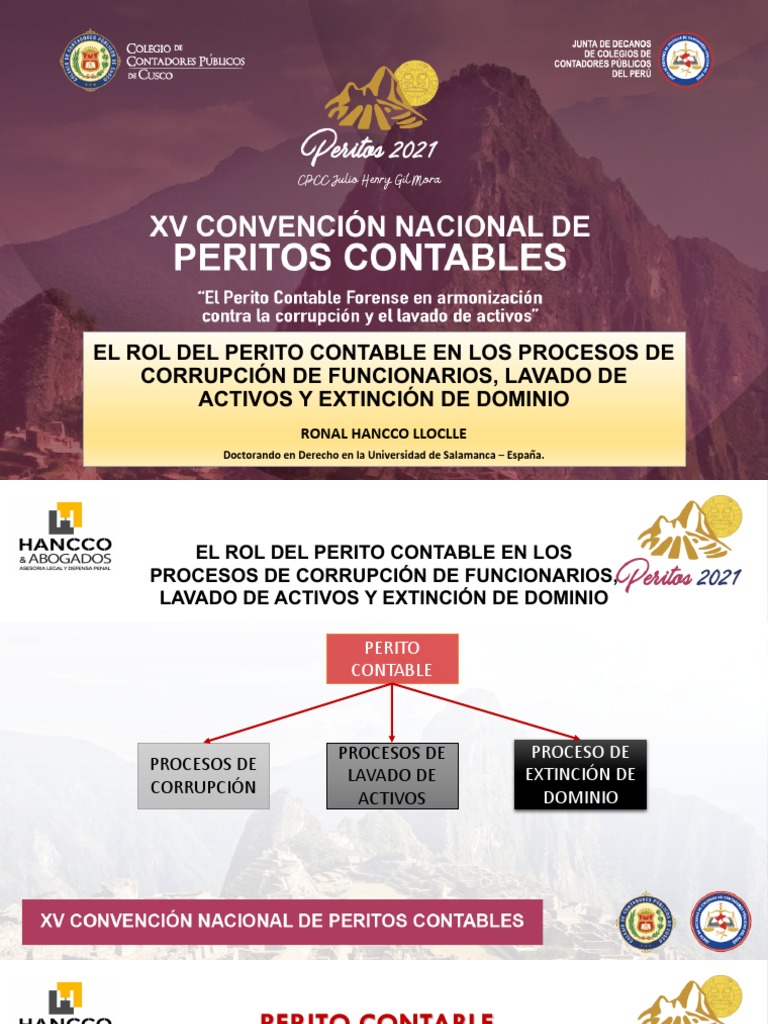Pericia Contable en Corrupción y Lavado | PDF | Lavado de dinero ...