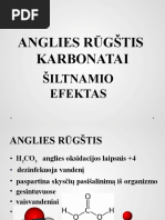 Nosiniu Raidziu Rasymas Zodziu Saknyje - Taisykles - Pask. | PDF
