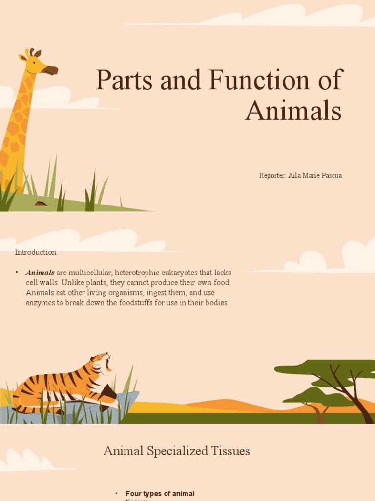 Parts and Function of Animals (AILA MARIE) | PDF