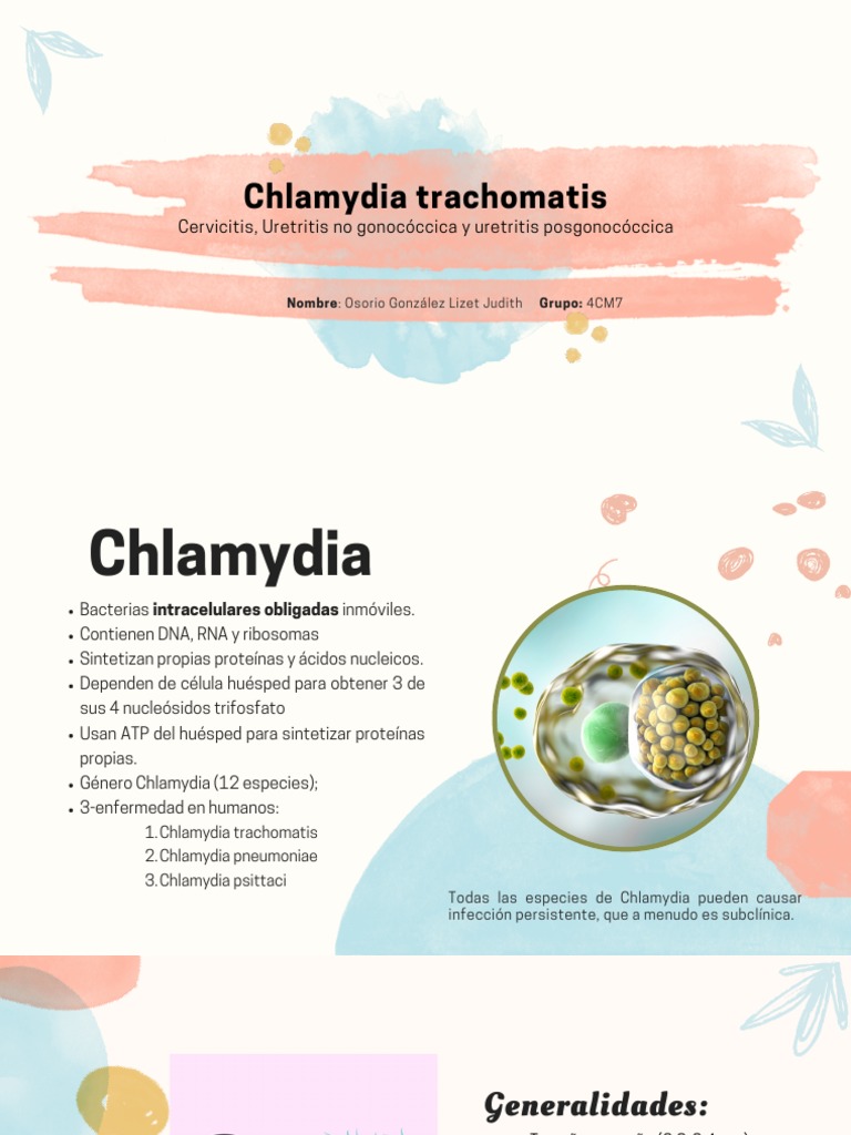 Chlamydia Trachomatis | PDF | Inflamación | Vagina