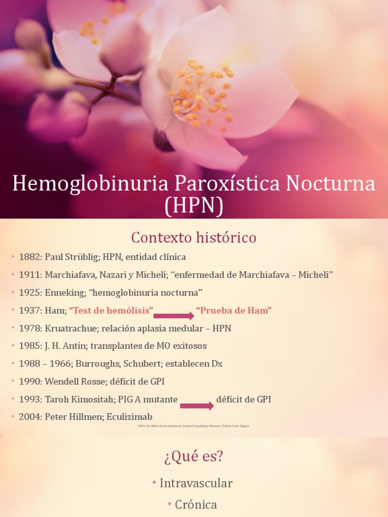 Hemoglobinuria Paroxística Nocturna Presentación | PDF | Medicina ...
