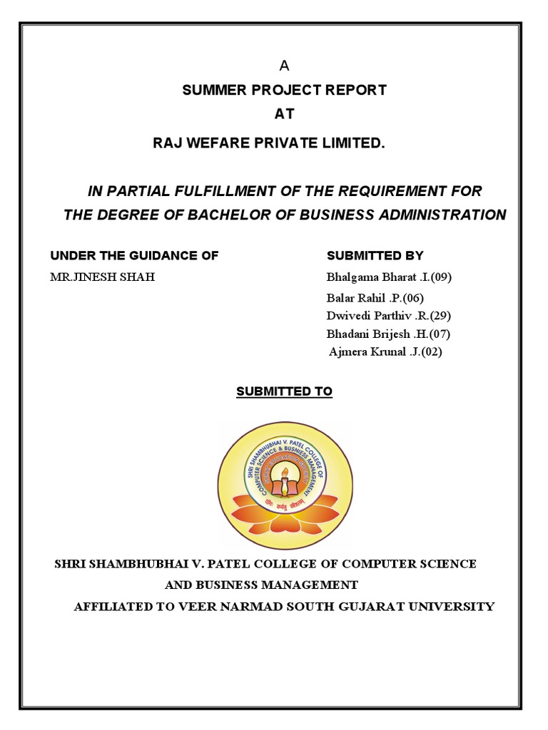 Raj Wafers Summer Project Report | PDF | Business