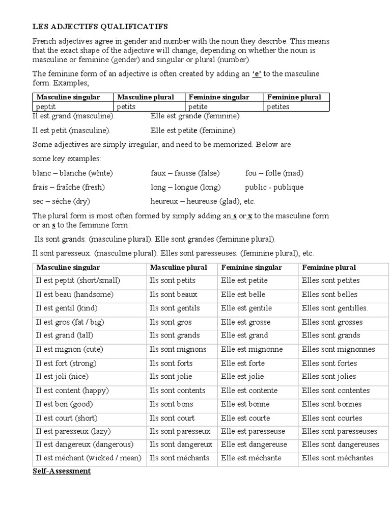 Les Adjectifs Qualificatifs | PDF