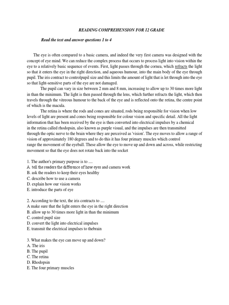 12th Grade Reading Comprehension Guide | PDF | Eye | Chocolate