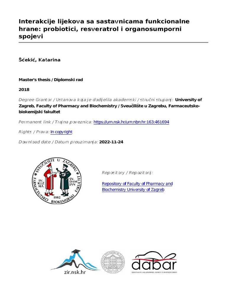 Diplomski Rad - Katarina Scekic Final Print Version | PDF