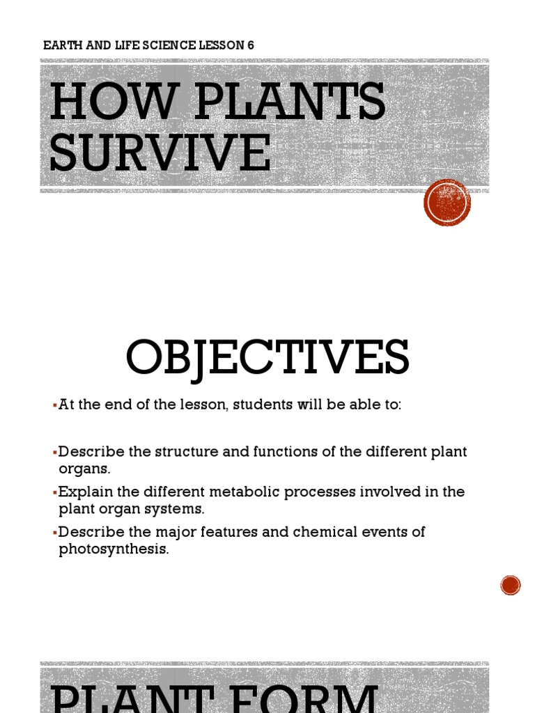 How Plants Survive | Download Free PDF | Leaf | Plant Stem