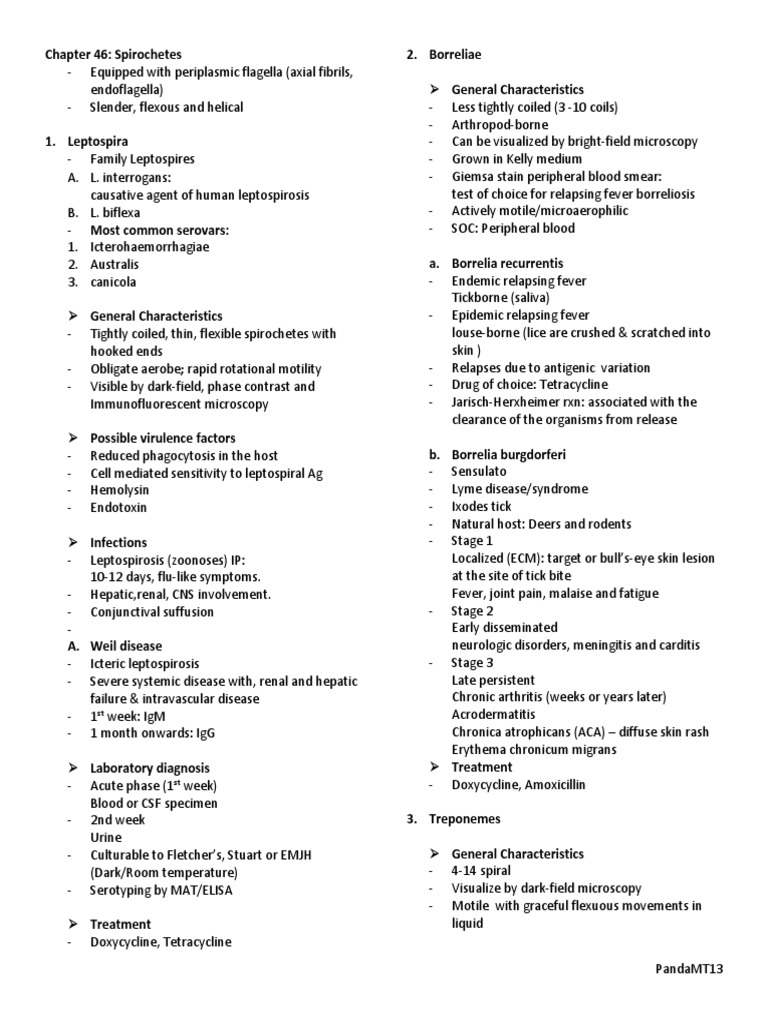 Chapter 46 - The Spirochetes | PDF | Lyme Disease | Causes Of Death