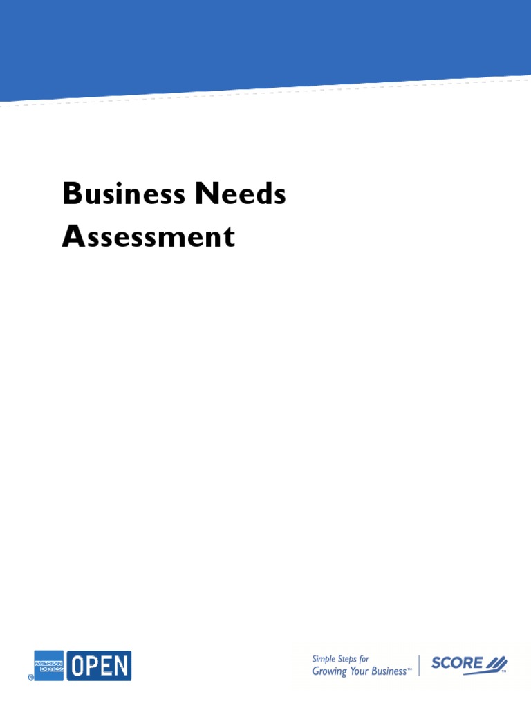Full Business Needs Assessment | PDF