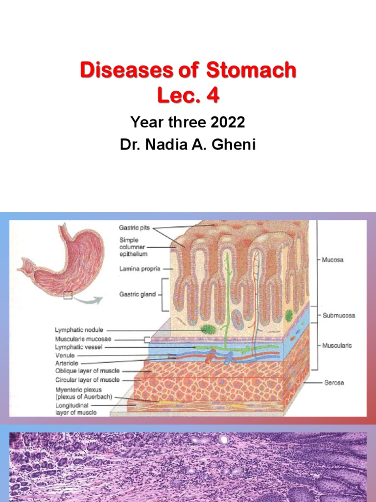 Stomach Pathology | PDF | Stomach | Medical Specialties