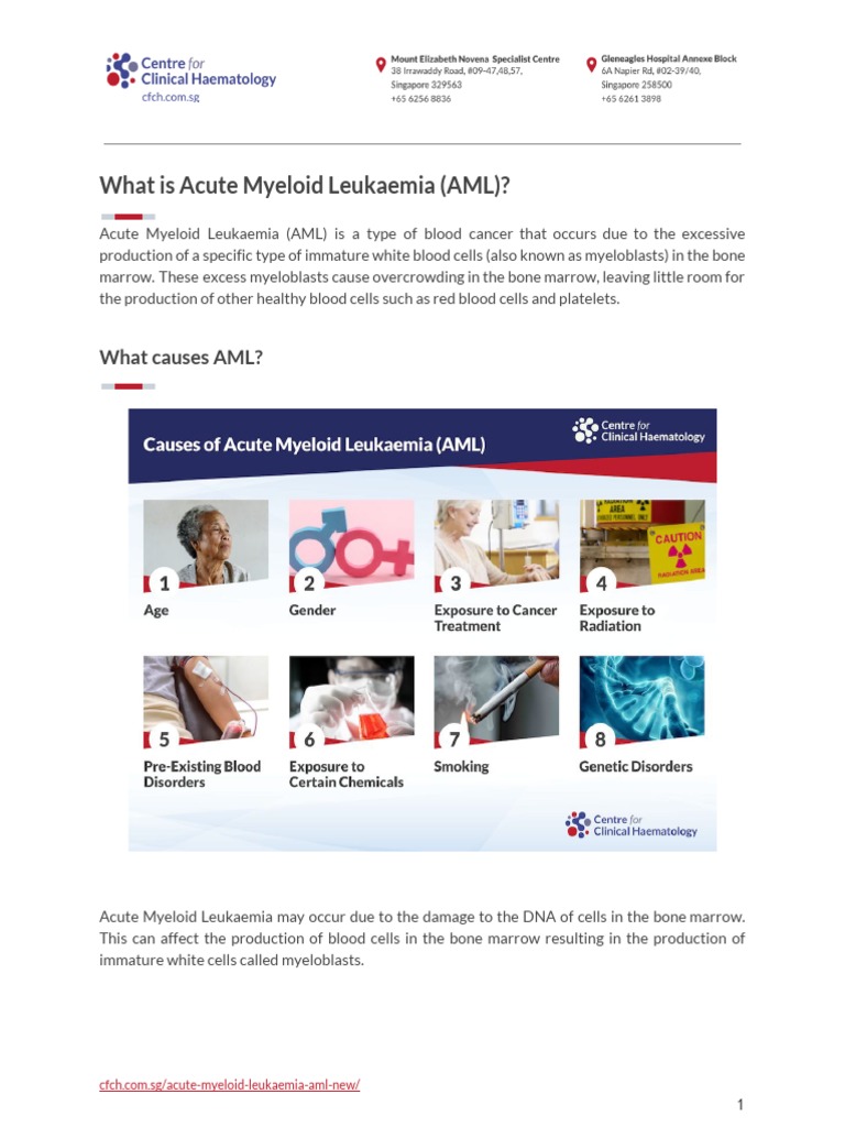 Print - Acute Myeloid Leukaemia AML - Nov | PDF | Leukemia ...