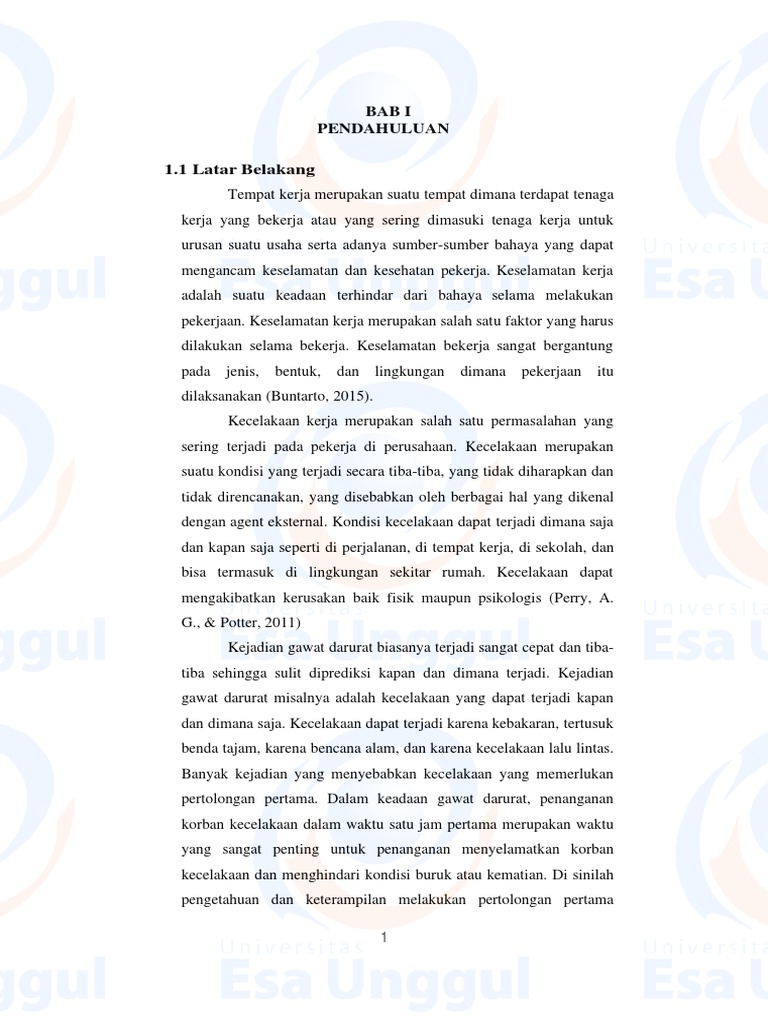 UEU Undergraduate 16938 BABI - Image.marked | PDF