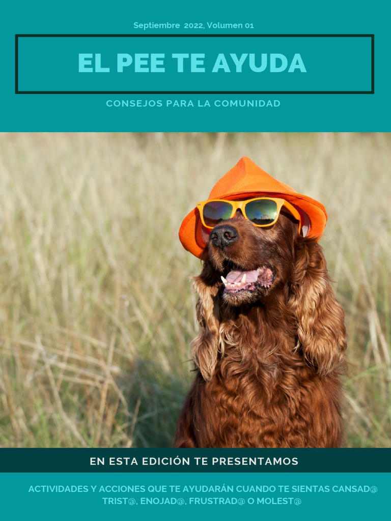 Cuadernillo El PEE Te Ayuda 1 | PDF | Té