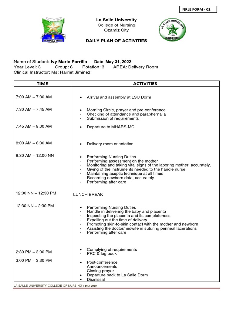 Daily Plan of Activities | PDF | Childbirth | Parenting