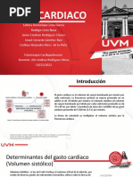 Escala Four | PDF | Coma | Causas de la muerte