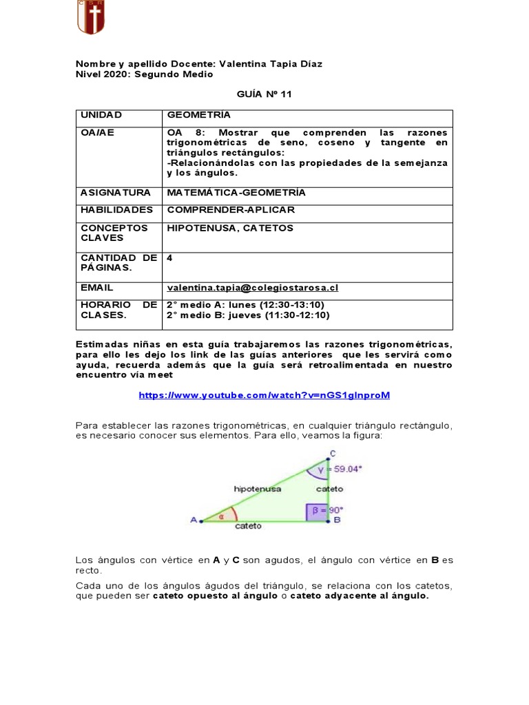 Guia 11-Geometria-2°medio | PDF | Funciones trigonométricas | Triángulo