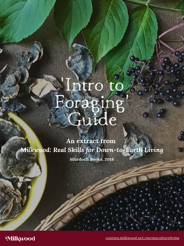 Intro To Foraging Guide Milkwood Book Extract | PDF