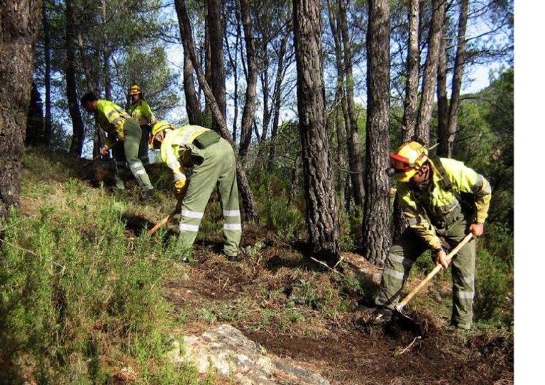 B1 English - Picture Description - Environment 2 | PDF