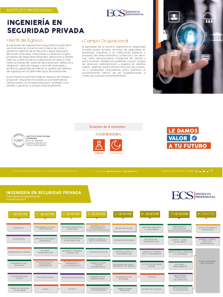 MALLA ING Seguridad Privada | PDF