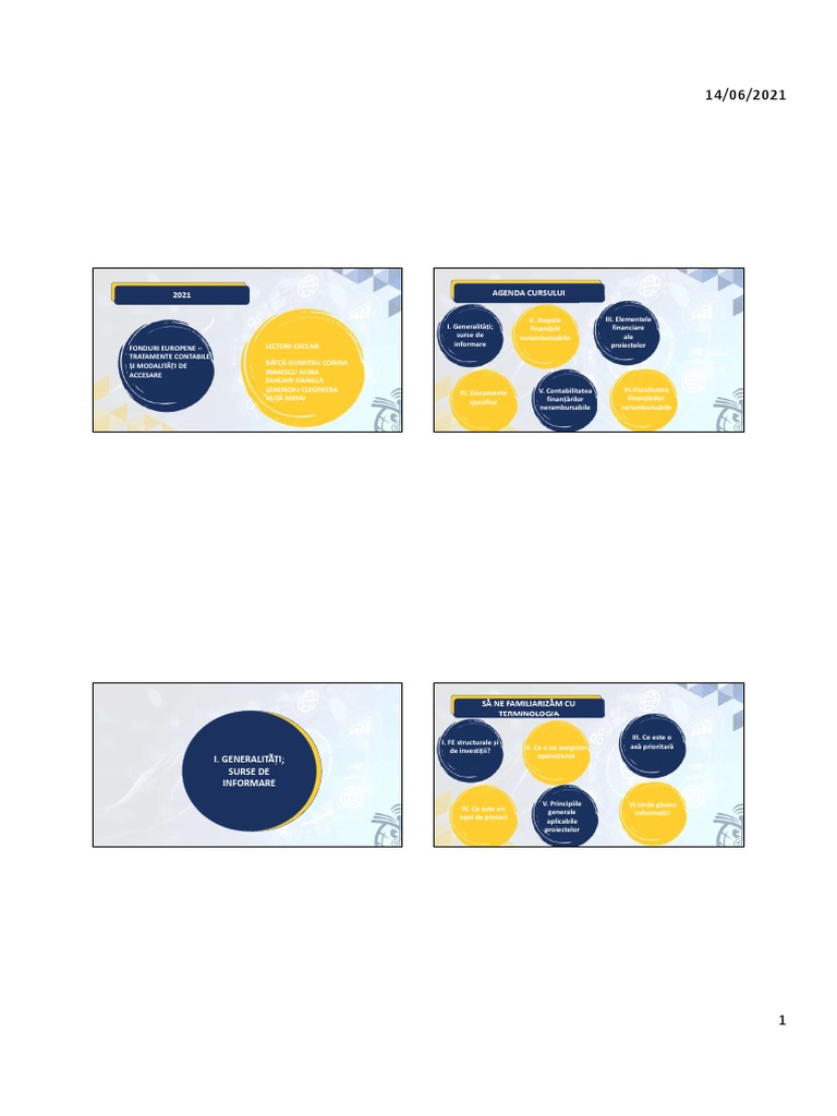 14 Iunie Curs FE Buc | PDF