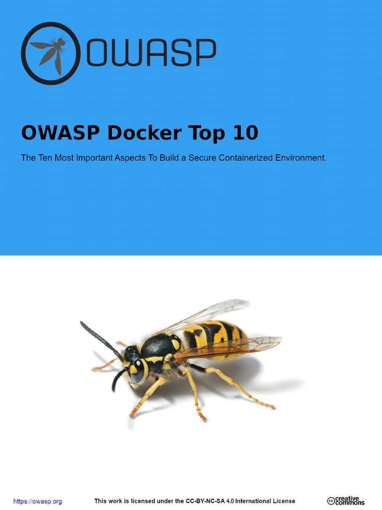 Owasp Docker Pdf Security Computer Security