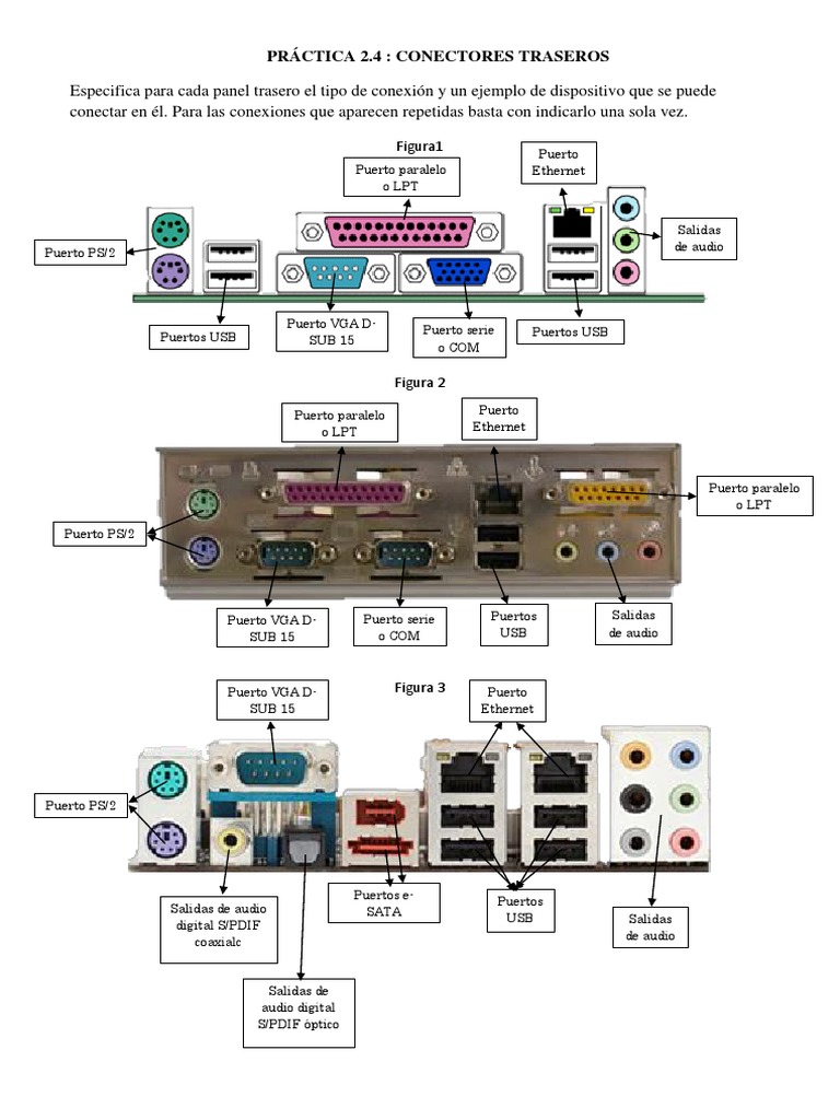 PRÁCTICA 2.4 Conectores Del Panel Trasero | PDF | USB | Ciencias de la ...