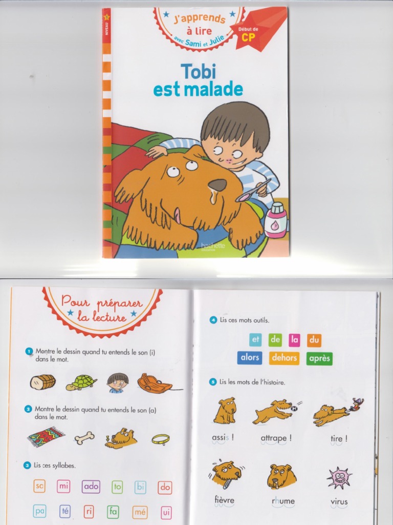 Tobi Est Malade | PDF