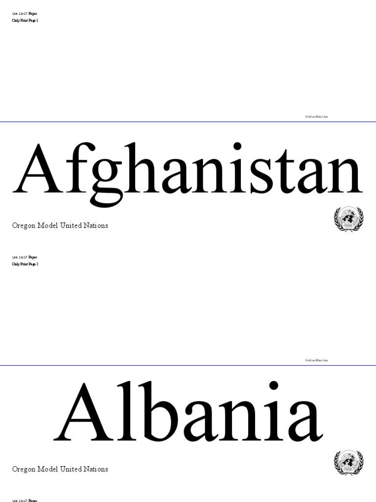 MUN Placard Template Guide | PDF | Clubs And Societies | Social ...