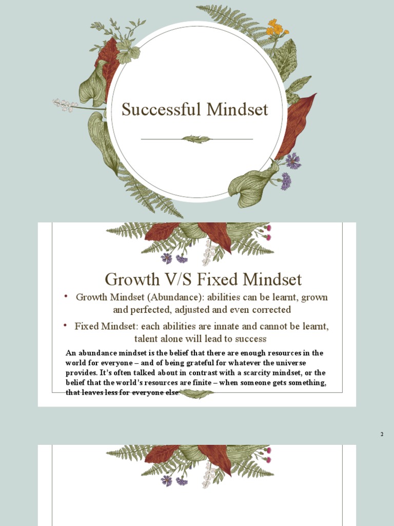 Successful Mindset | PDF