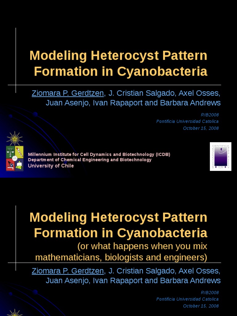 Modeling Heterocyst Pattern Formation in Cyanobacteria | PDF ...