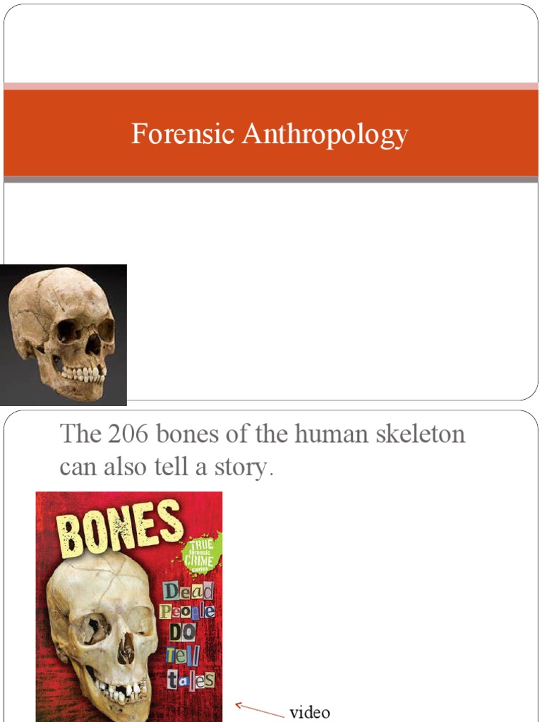 HBS Forensic Anthropology Presentation For Lab | PDF | Skull