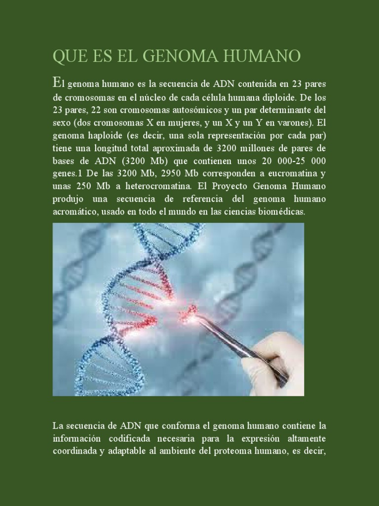 Genoma Humano | PDF | Genoma humano | Genoma