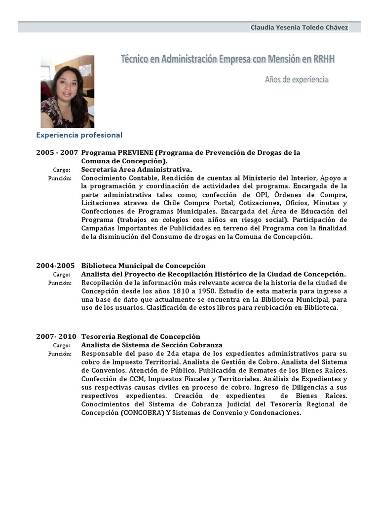 Curriculum Vitae Claudia Toledo Chavez | PDF