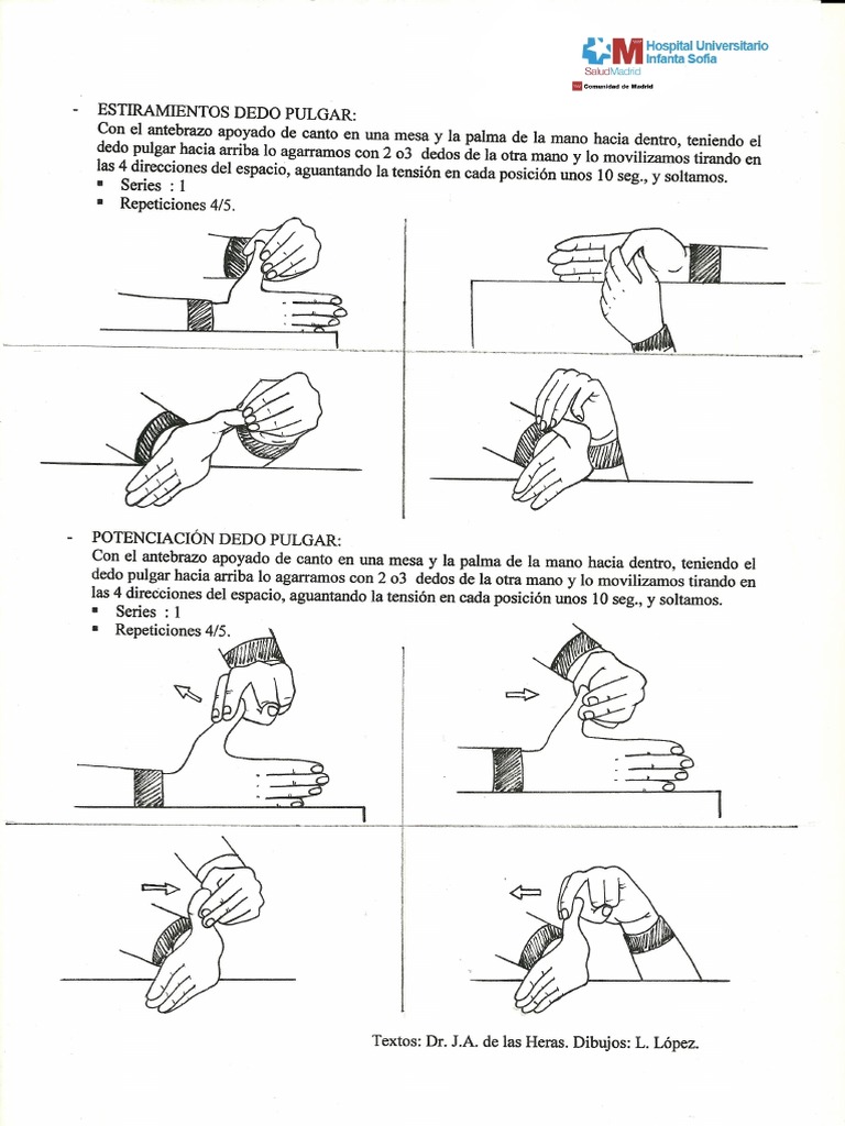 Estiramiento-Potenciación Del Dedo Pulgar | PDF