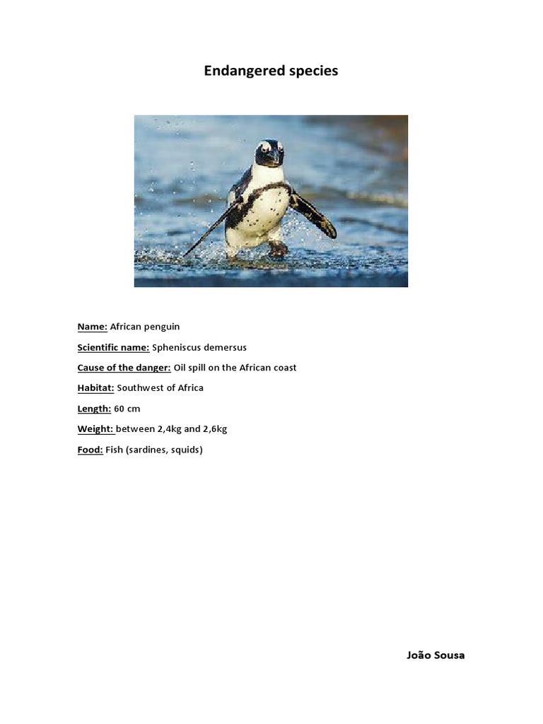 Endangered Species | PDF