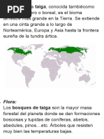 Fauna del Bioma Taiga: Adaptaciones y Especies | PDF | Ciencias de la ...