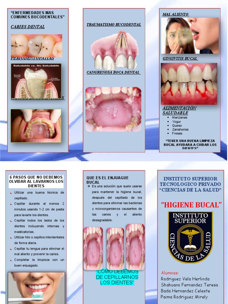 Triptico Dental | PDF