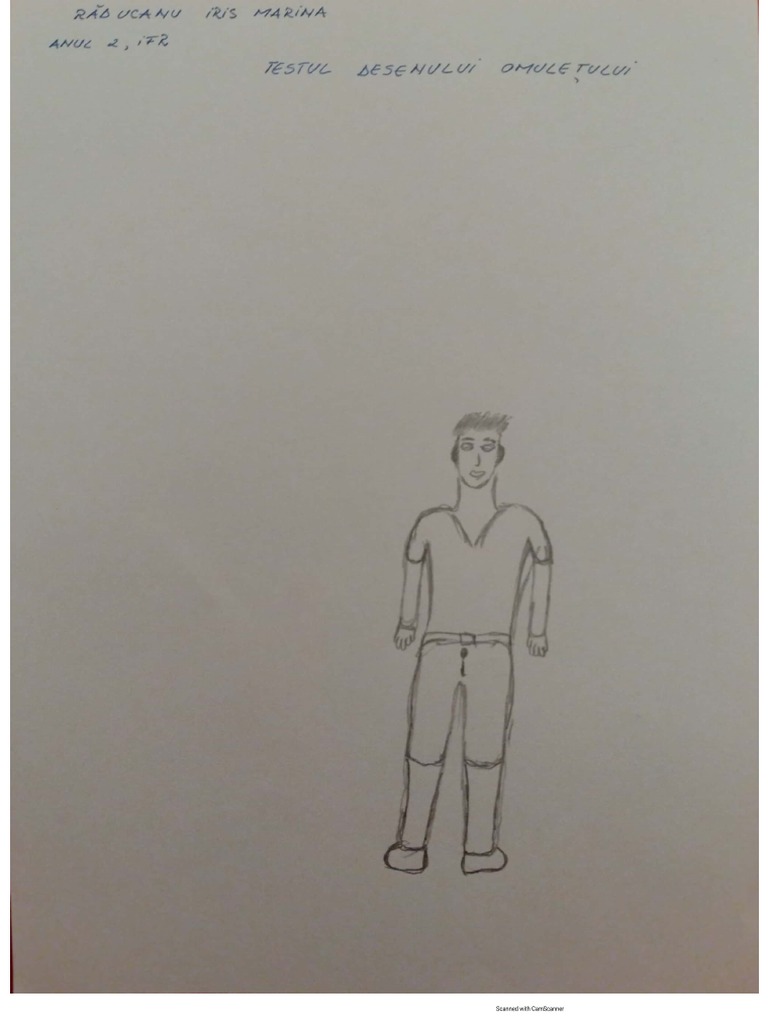 Testul Persoanei - Ion Adrian, IFR, Anul 2 | PDF