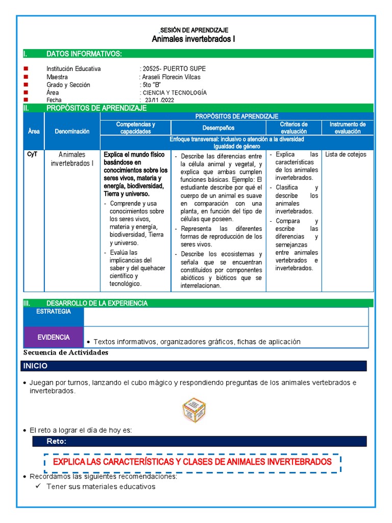 5° SESION CyT | PDF | Esponja | Boca