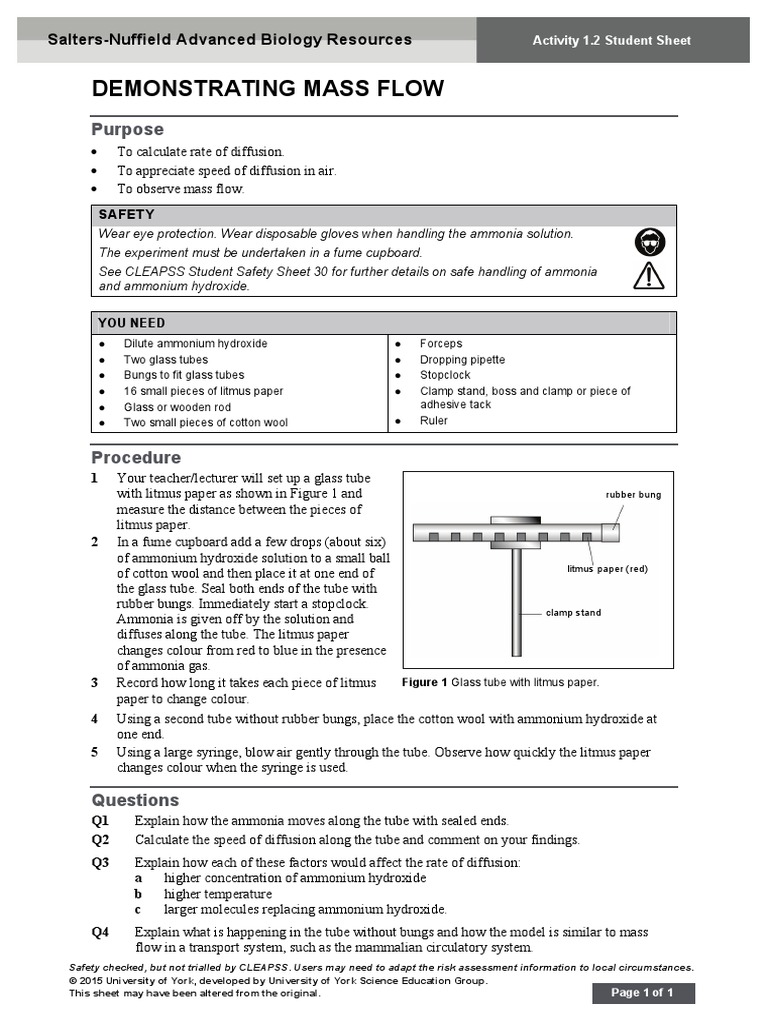 SNAB Teacher Notes and Activity Sheets Sample | PDF