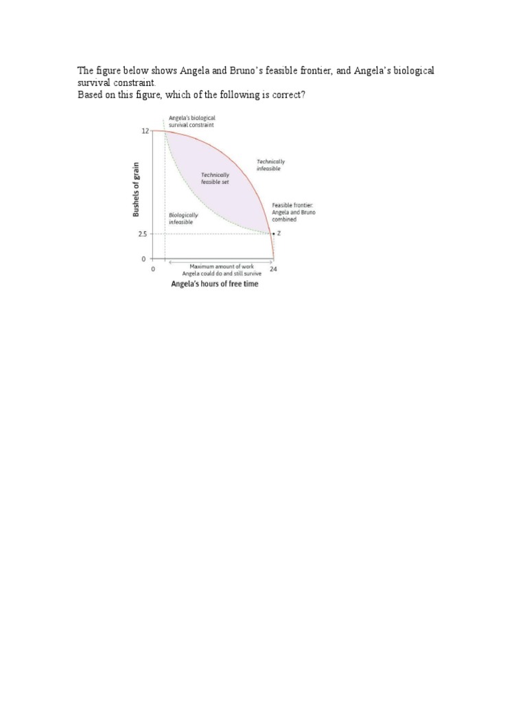 The Figure Below Shows Angela and Bruno | PDF