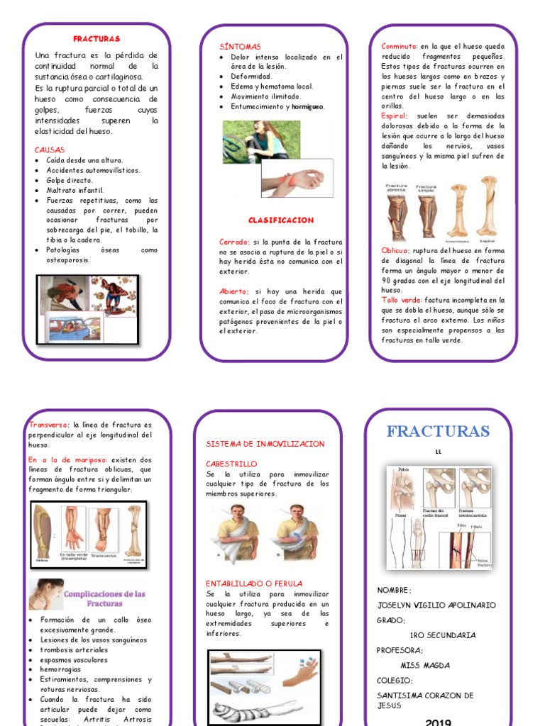 Triptico Fracturas | PDF | Hueso | Anatomía