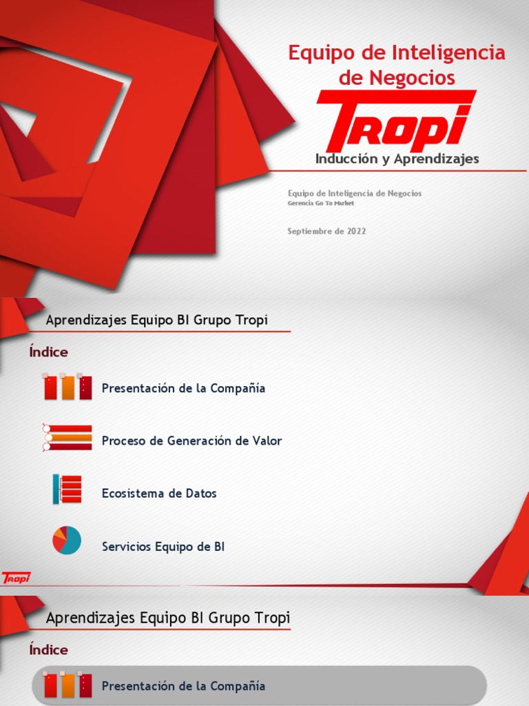 Aprendizajes Inteligencia de Negocios Grupo Tropi | PDF | Inteligencia de negocios | Planificación