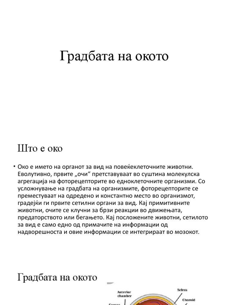 Градба на око Pdf