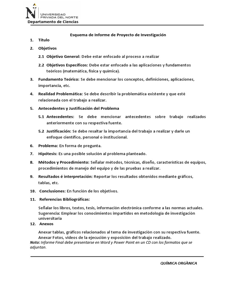 Esquema de Informe de Proyecto | PDF