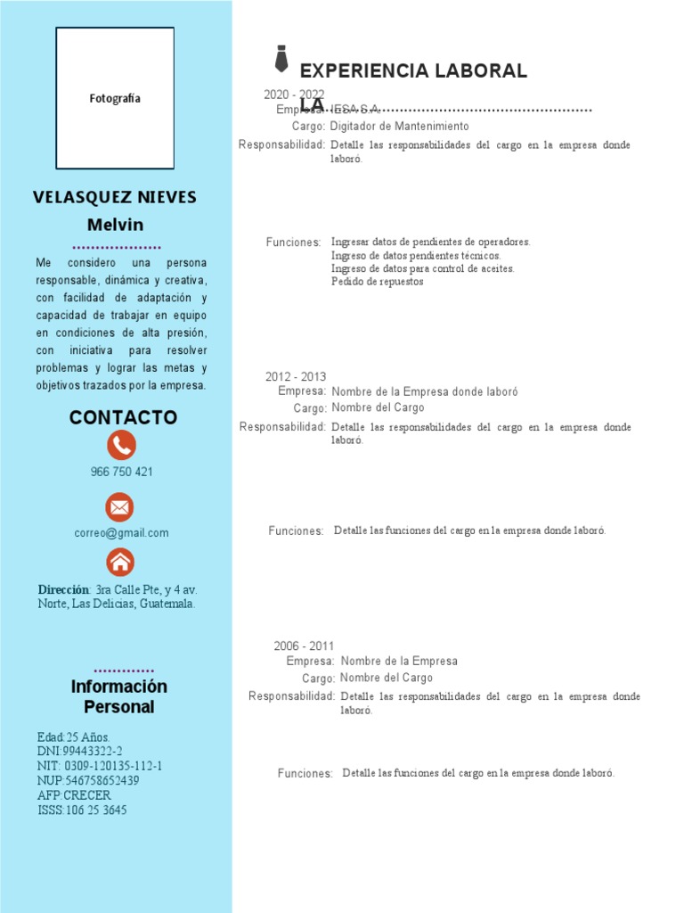 Curriculum-Vitae MELVIN VELASQUEZ | PDF | Microsoft Excel | Business