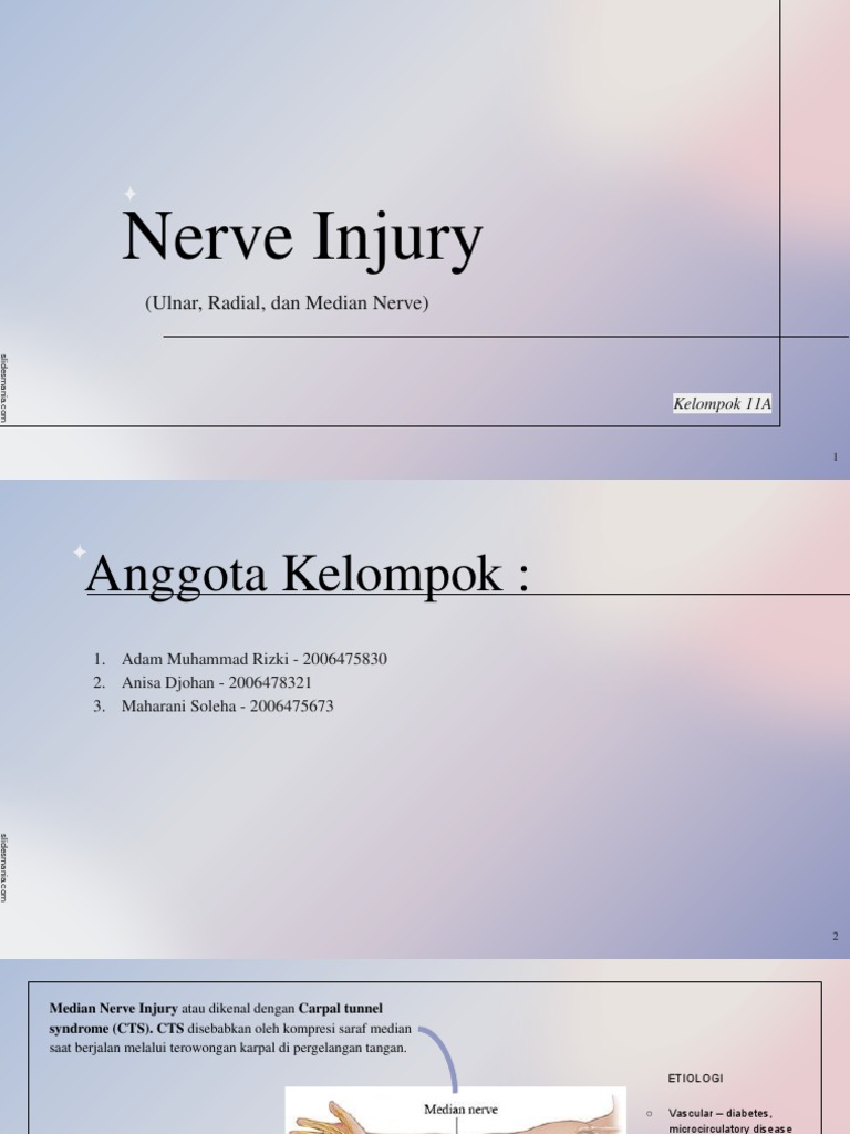 Nerve Injury | PDF