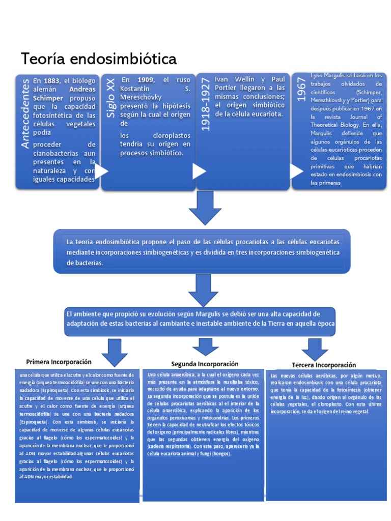 Teoría Endosimbiótica | PDF | Biología Celular | Organismos